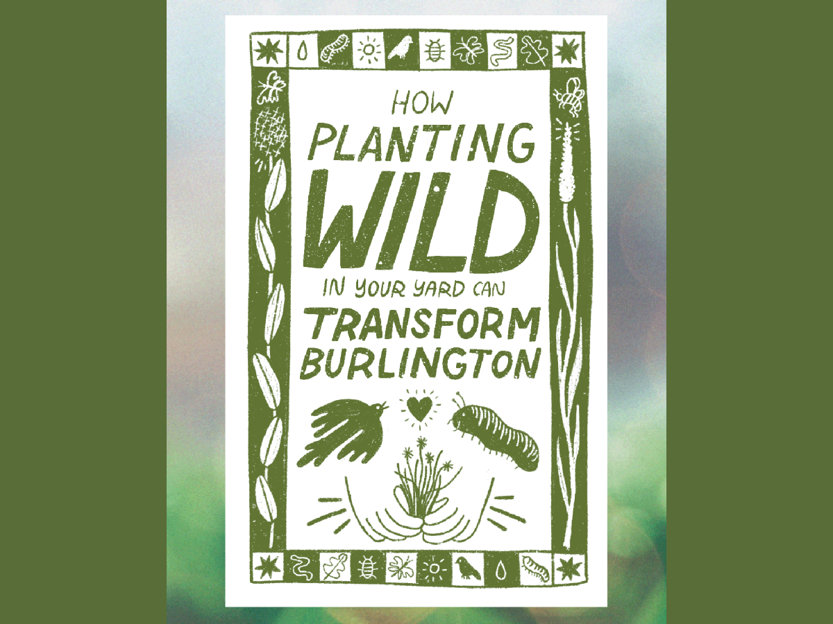 Bringing Habitat Home Zines | Burlington Wildways